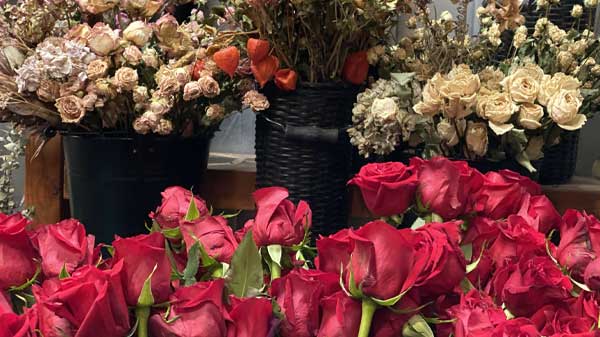 The Bloomerie | Your local flower shop